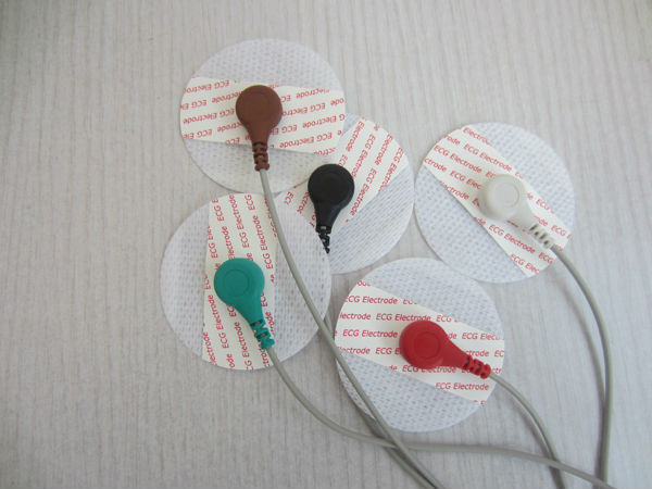 Recording Evoked Potentials